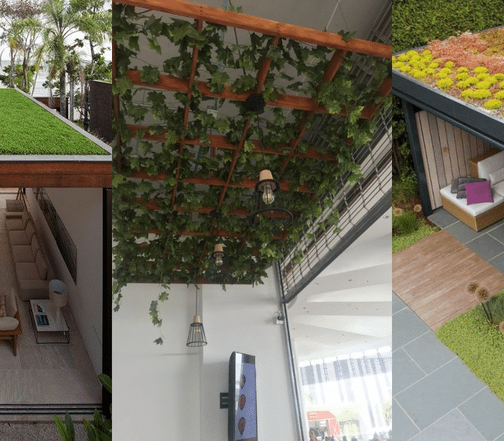 Ideas de techo de plantas: Creando espacios verdes en el techo