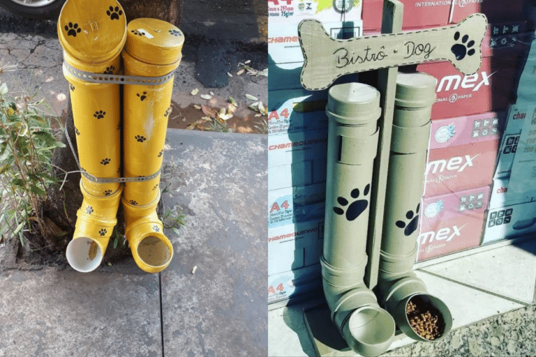 ¡Transforma Tu Jardín Con Estos Comederos Para Animales De PVC Que Amarás!