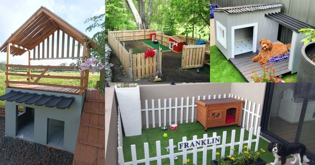 Ideas De Espacios Para Perros En El Patio Trasero