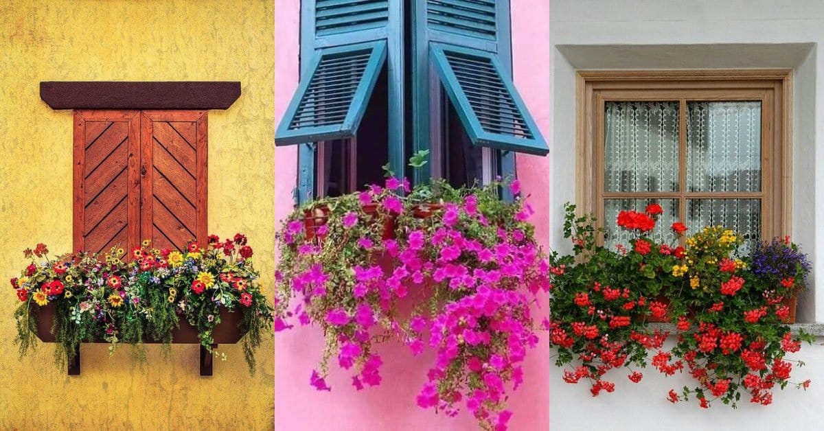 Ideas Para Decorar Tus Ventanas Con Flores