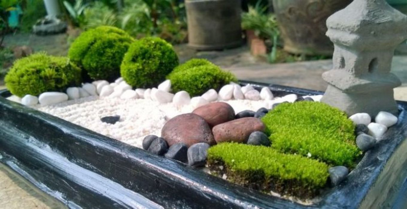 10+ Impressionantes Jardines Japonese En Miniatura Más Bellos Del Mundo